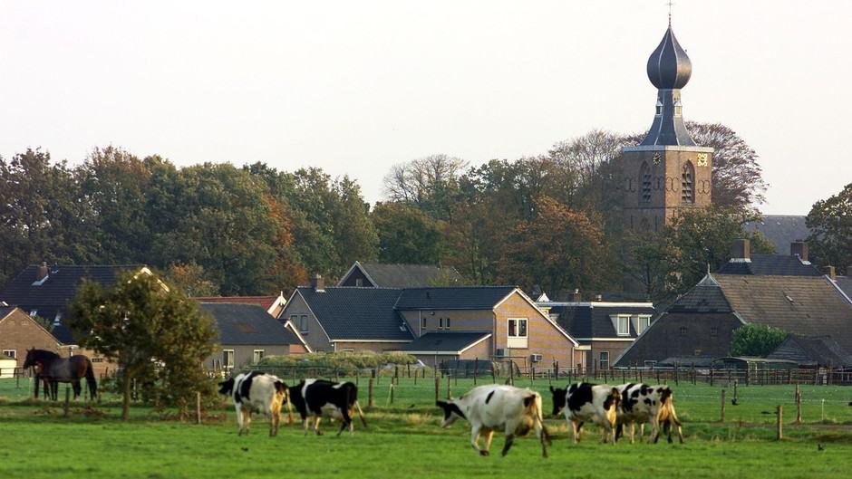 Westerveld - Reality Outdoor